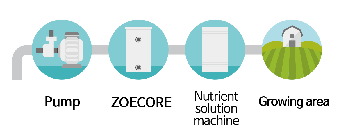 About ZOECORE – ZOECORE